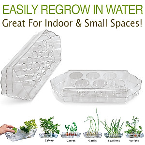 Indoor Gardening System/Small/No Electricity Needed/All Year Round/Hydroponic Growing The Easy Way/Propagate-Regrow in Your Kitchen/I Re Grow