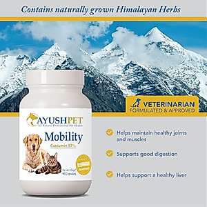 Ayush Pet Mobility, Curcumin Supplement for Healthy Joints, Pure and Powerful Joint, Digestion, and Brain Support, Large or Small Pets, 90 Capsules