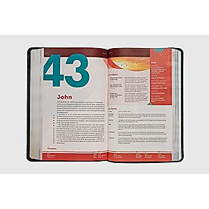 NLT Student Life Application Study Bible, Filament Enabled (LeatherLike, Charcoal Gray Striped, Red Letter)