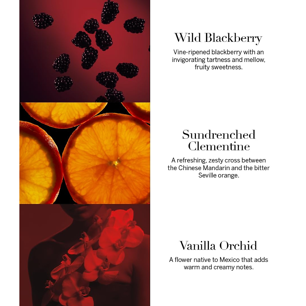 Victoria's Secret Very Sexy Fragrance Lotion, Notes of Vanilla Orchid, Sun-Drenched Clementine & Wild Blackberry, (8.4 oz)