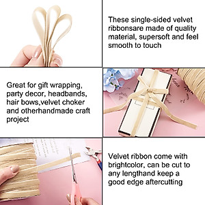 Pandahall 50 Yards Velvet Ribbon 3/8Inch Wide Single Face Velvet Ribbon Roll with Spool for Gift Wrapping Decoration Party Wedding Arts Crafts (Dark Khaki)