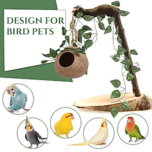 Skylety 3 Pcs Coconut Bird Nest Hut Hanging Bird House Coconut Hide with 6.9 Feet Fake Vines Coconut Fiber Shell Small Bird Cage Accessories for Parrot Parakeet Canary Reptile Crested Gecko Hamster