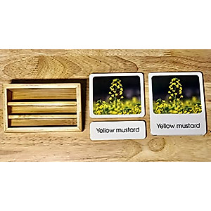 KIHACO 2 Sets Montessori Three Part Card Tray Montessori material The Holder for Montessori 3 Part Cards - NOT for Greeting Cards