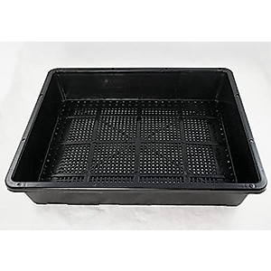 Calibonsai 2 x Black Plastic Tray for Propagation, Bonsai Forest/Group Planting 15"x 12"x 3"