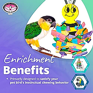 Super Bird Creations SB391 Sm. Buzbee Bird Toy, Small/Medium Bird Size, 9" x 4" x 4"