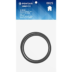 Pentair OMNIFilter TO1 Carbon Water Filter (10") and OMNIFilter OK25-S6-05 O-ring (6 count)