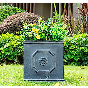 Kante Lightweight Classic Square English Style Lion Head Planter 12.6"x12.6"x12.6" Antique Gray