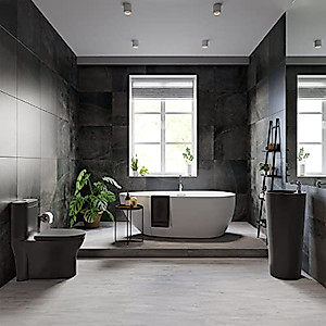 Swiss Madison SM-1T108MB Monaco One Piece Elongated Toilet Dual Flush, Matte Black