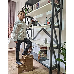 SAPPHIRE HOME Step Stools for Kids, Durable Safe Sturdy Easy Assembly No Screw Toddler Step Stool for Bathroom Sink, Montessori Design Potty Traing Step Stool