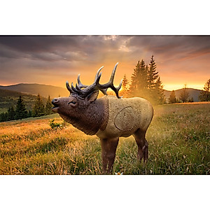 Rinehart 1/3 Scale Woodland Elk Target