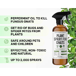 Kate's Home & Garden Plant Spray for Insects & Getting Rid of Gnats with 12 Gnat Sticky Traps. Fungus Gnat Killer & Gnat Control for Indoor Plants (16oz, Pet Safe, Non Toxic)