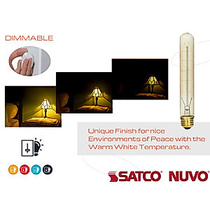 Satco 60 Watt T9 Incandescent; Clear; 3000 Average Rated Hours; 230 Lumens; Medium Base; 120 Volt for Pendant Lighting Fixtures, Decorative for Dining Room, Studio, Lounge, Restaurants (6 Pack)