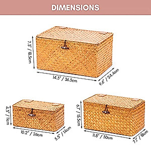 Komely set of 3 Seagrass Shelf Baskets with lids,Decorative Rectangular Storage Baskets with Lids, Handwoven Wicker storage Bins, Stackable Storage Boxes