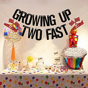 Growing Up Two Fast Banner, Happy 2nd Birthday Decorations, Race Car Theme Party Decors, Racing Party Second Birthday Party Supplies Black Red Glitter