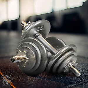 WF Athletic Supply Traditional/Classic 1-inch Hole Standard Solid Cast Iron Weight Plates - Great for Strength Training, Weightlifting, Bodybuilding & Powerlifting, Multiple Choices Available