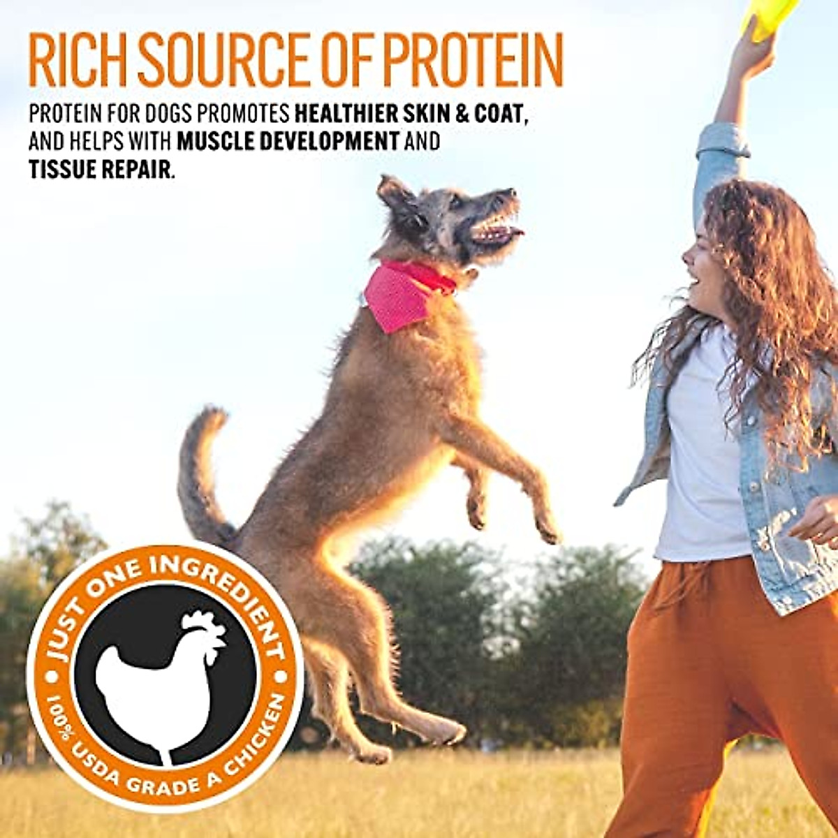 EBPP Chicken Jerky Dog Treats Made in USA - 100% Natural Dog Jerky Treats Made with Real Chicken - Grilled Chicken Strips for Medium Dogs, Large Dogs and Small Dogs