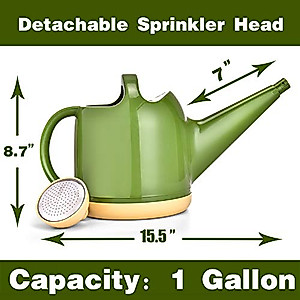 NOBONDO Watering Can 1 Gallon with Sprinkler Head, Plant Watering Can Long Stem Spout for House Indoor Plant Outdoor Flower Decorative Modern Garden Pot (4L, Green)