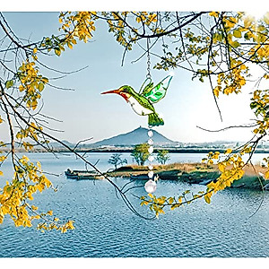 Andiker Crystal Suncatchers Hanging, Stained Glass Hummingbird Crystal Ball Prisms Ornament, Rainbow Maker Home Décor for Windows Chandelier Home Garden, Gift for Bird Lovers (Green)