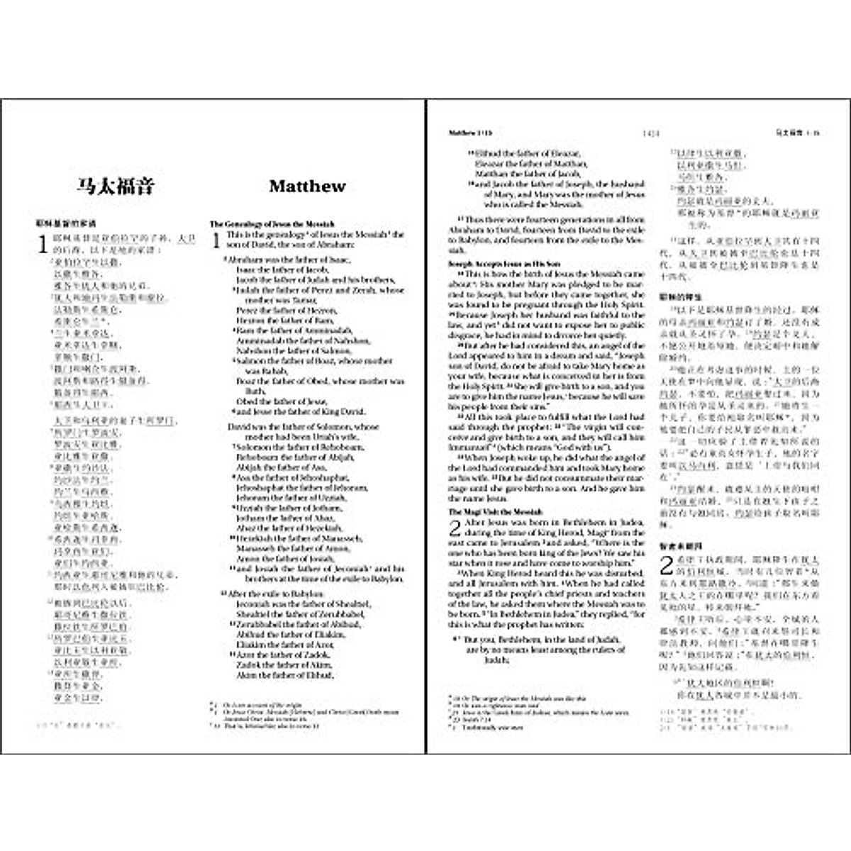 CCB (Simplified Script), NIV, Chinese/English Bilingual Bible, Hardcover, Black/Gold (Chinese Edition)