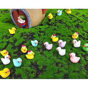 HYG 84 Pieces Mini Resin Duck 7 Colors,These Little Ducks can be Used in Miniature Gardens, They are Best Gifts for Christmas, Birthday Party, Halloween