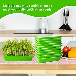HolyMaji 10 Pack Small Seed Sprouter Tray - BPA Free Plant Seed Germination Tray with Drain Holes, Soil-Free Wheatgrass Cat Grass Tray Microgreens Growing Trays Plus Propagation Paper