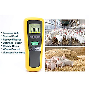 Basic Ammonia Meter by Forensics | 0-100ppm with 1ppm Resolution | Farm, Poultry, Pig & Livestock | Soft Touch Rubber Grip | Large Display & Backlight | Mode: FD-NH3000 | Yellow