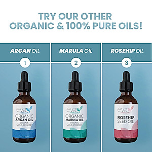 Eva Naturals Organic Castor Oil (2oz) - Promotes Hair, Eyebrow and Lash Growth - Diminishes Wrinkles and Signs of Aging - Organic Castor Oil for Hair Growth Eyelashes - Hair Growth Oil 100% Pure