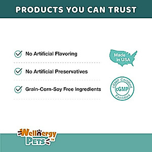 Wellnergy Pets Dental Wipes for Dogs and Cats - No Brush Formula; Improve Oral Hygiene and Health; Freshen Breath; Fresh Mint Flavor. 100 Wipes.