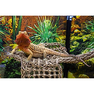 PENN-PLAX Reptology Lizard Lounger Corner Triangle with Ladder– 100% Natural Seagrass Fiber – Great for Bearded Dragons, Anoles, Geckos, and Other Reptiles – Large