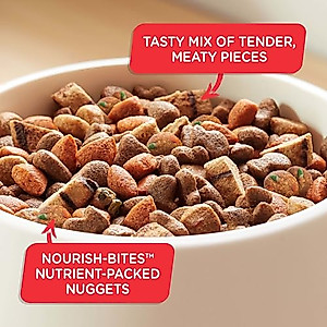 Rachael Ray Nutrish Big Life Dry Dog Food, Medium & Large Breed, Hearty Beef, Brown Rice, & Veggies, 40 Pounds