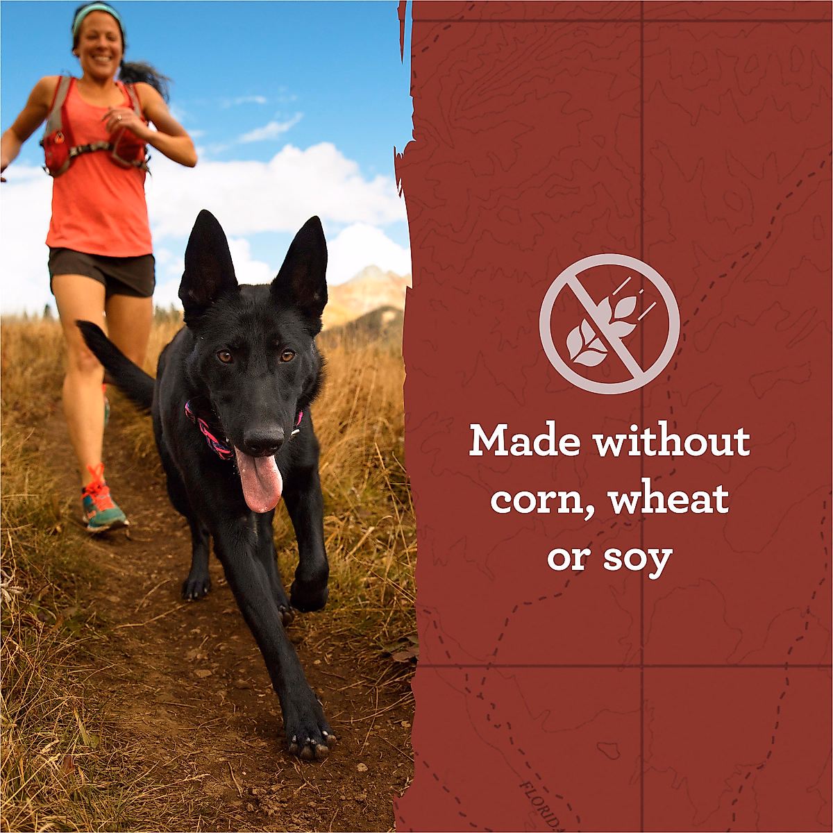 Zuke’s Lil’ Links Dog Treats for Dogs of All Sizes, Snacking Sausage Treats for Dogs, Pet Treats made with Real Pork & Apple, 6 oz. Resealable Pouch​ - 6 oz. Bag