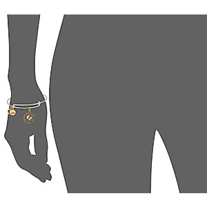 Alex and Ani Women's Taurus Two Tone Bangle Bracelet