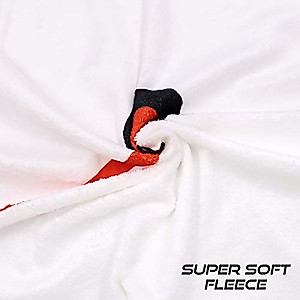 Eunikroko Race Car Baby Monthly Milestone Blanket Sports Nursery Blanket 1 to 12 Months Photography Backdrop Prop for Newborn Baby Boy Soft Plush Fleece