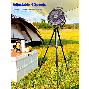 8" Portable Camping Fan, 10000mAh Rechargeable Tripod Fan with Tent Hook, 4 Speeds, 360° Rotation Battery Operated Fan for Outdoor Camping Tent Hurricane