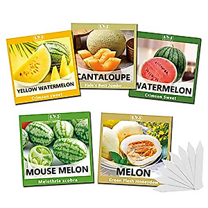 5 Variety Melon Fruit Seeds Packets - Crimson Watermelon, Green Honeydew Melon, Melothria scabra, Cantaloupe and Yellow Watermelon for Your Fruit Garden W/Gift Box Planting Instructions