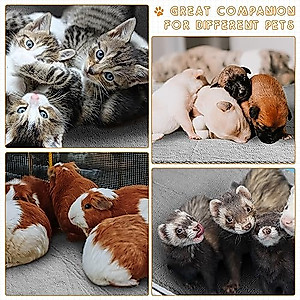 Panelee 20 Pcs Reusable Puppy Pads Waterproof Guinea Pee Pad Washable Pee Pads for Dogs Fleece Cage Liner Blankets Accessories Small Animals Bedding Mats Sleep Mat Pad Cover (Gray,18x24 in)