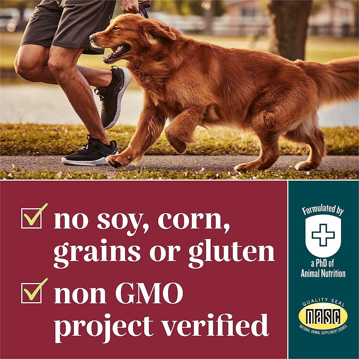 EverRoot Dog Heart Supplements Heart Health Chewable Tablets with Taurine and Green-Lipped Mussels - 4.02 oz. Canister