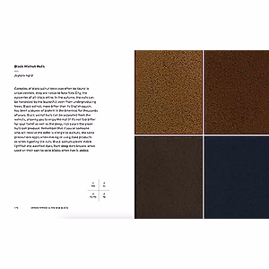 Natural Palettes: Inspiration from Plant-Based Color