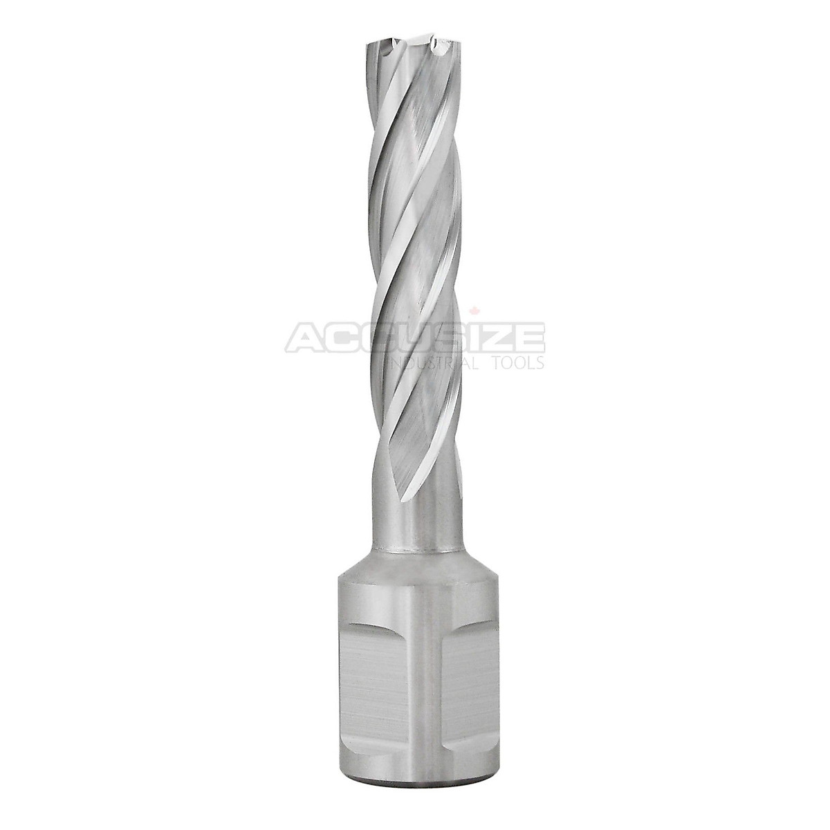 Accusize Industrial Tools 7/16'' Cutting Dia, 3/4'' Weldon Shank, 2'' Cutting Depth H.S.S. Annular Cutters, 2081-2012