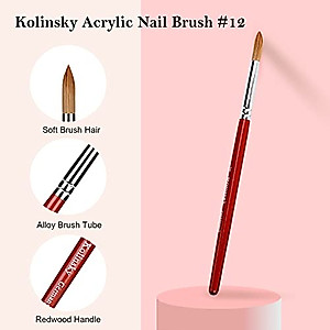 Acrylic Nail Kit with Nail Primer and Top Coat, Polymer Colored Acrylic Nail Powder for Acrylic Nail Extension Carving