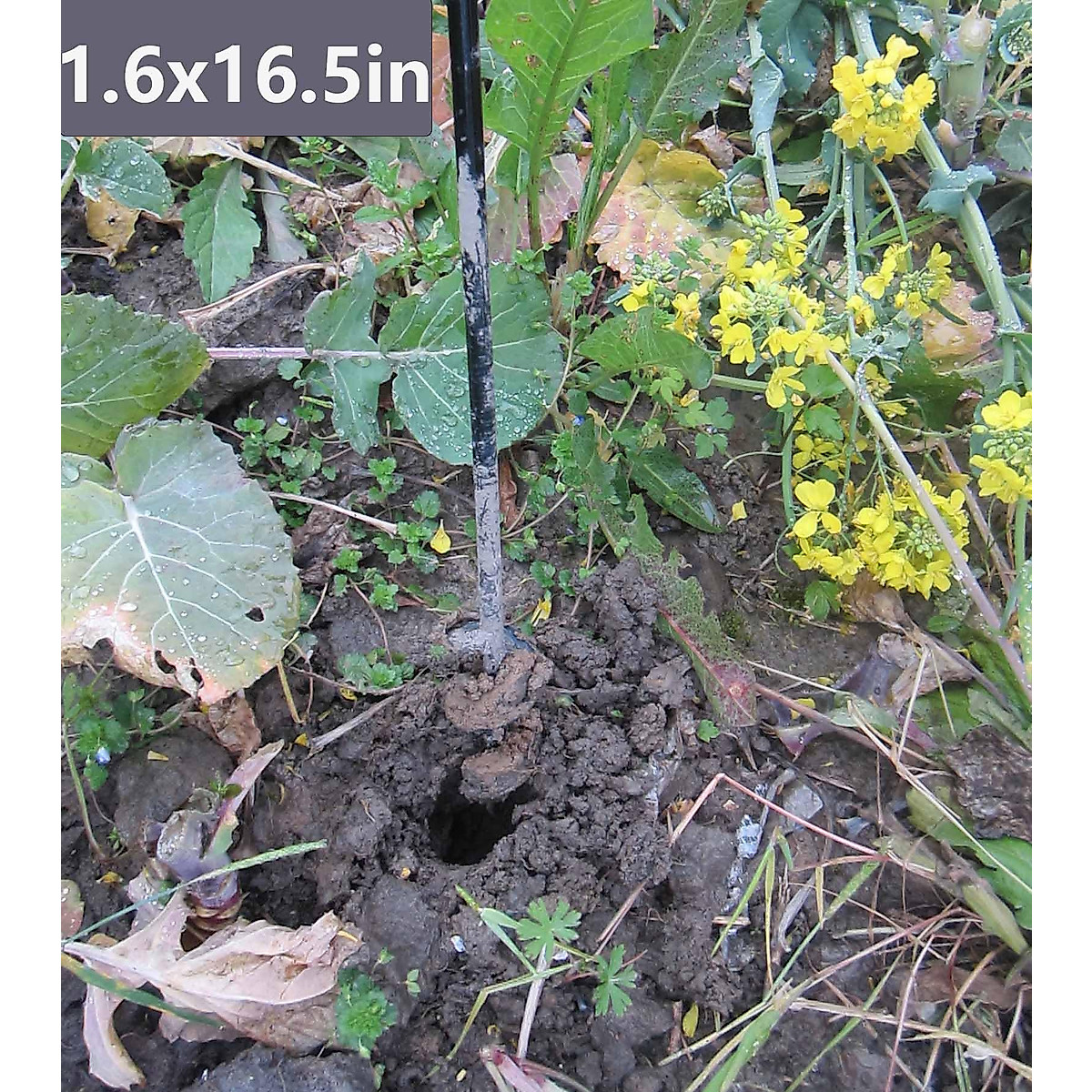 TCBWFY Garden Auger Drill Bit for Planting 3.5"x16"and 1.6"x16.5"Auger Drill Bit Plant Flower Bulb Auger Spiral Hole Drill Earth Post Umbrella Bulb Planter Auger for 3/8" Hex Drive Drill