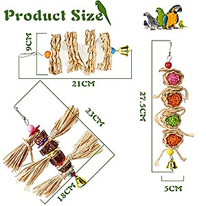 Bird Chewing Toys - Wicker Ball Natural Cuttlebone Woven Grass Bird Beak Grinding Chew Shredder Toy with Bell, Texsens Bird Backpack Cage Hanging Toy for Parrot Parakeet Cockatiel Conure African Grey