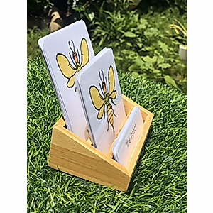 KIHACO 2 Sets Montessori Three Part Card Tray Montessori material The Holder for Montessori 3 Part Cards - NOT for Greeting Cards