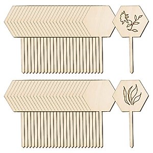 HOVEOX 100 Pieces Wooden Plant Labels Succulent Tags Wooden Plant Sign Tags Wood Garden Plant Tag Vegetable Garden Markers Plant Tags Succulent Plant Markers