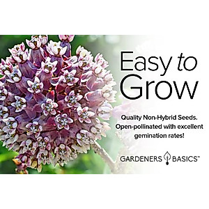 Milkweed Seeds For Monarch Butterflies (4 Variety Pack) Common, Showy, Butterfly and Rose Varieties Attracts Butterflies, Bees and Pollinators Heirloom Flower Seeds Wildflower Seed by Gardeners Basics