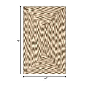 SAFAVIEH Braided Collection 4' x 6' Beige/Brown BRD173A Handmade Country Cottage Reversible Cotton Area Rug