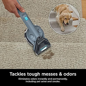 Shark PX202BRN StainStriker Portable Spot, Stain, & Odor Eliminator for Carpets, Area Rugs, Upholstery, Cars, with Bonus Accessories and Cleaning Solutions, Perfect for Pets, Nordic Blue