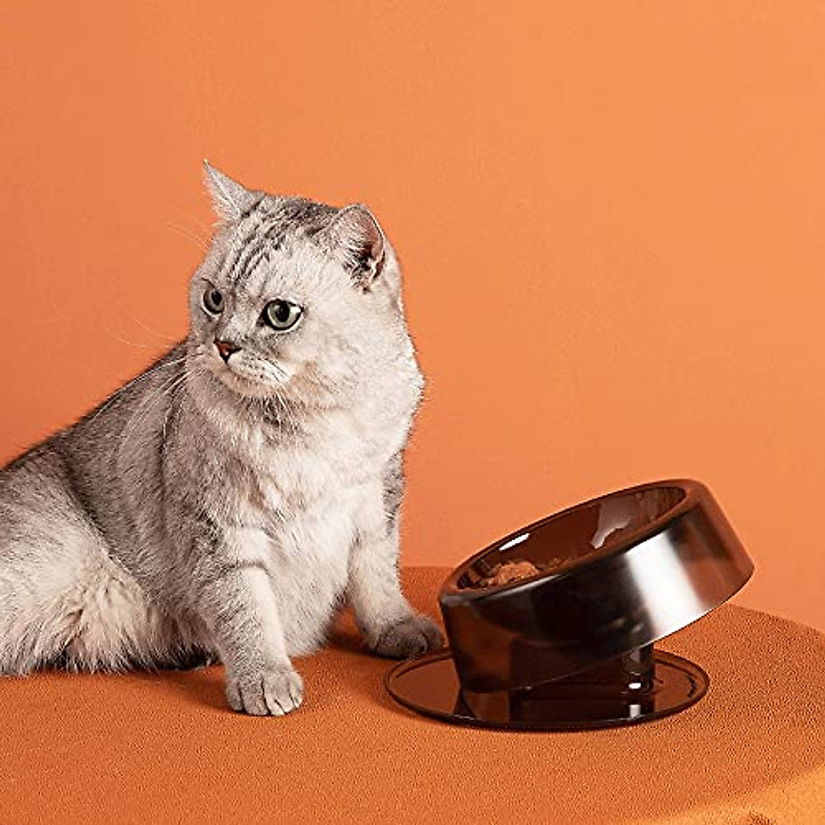 FUUIE Bowls for Food and Water Pet Bowl for Cat and Dog Adjustable Angel Cat Bowl Dog Bowl with Non-Slip Feeder for Cats and Dogs Kitten and Puppy Pet Products (Color : Blue)