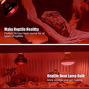 DGE Reptile Heat Lamp Bulb, 100 Watt Infrared Basking Spot Bulb of Bearded Dragon, Red Heat Lamp Bulbs for Reptiles and Amphibian Use, 2Packs
