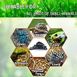 Hamiledyi Turtle Basking Platform Tortoise Climbing Ramp Shale Step Ledge Reptiles Dock Resting Terrace Aquarium Rock Ornament Decoration for Turtles Frogs Newts Salamanders